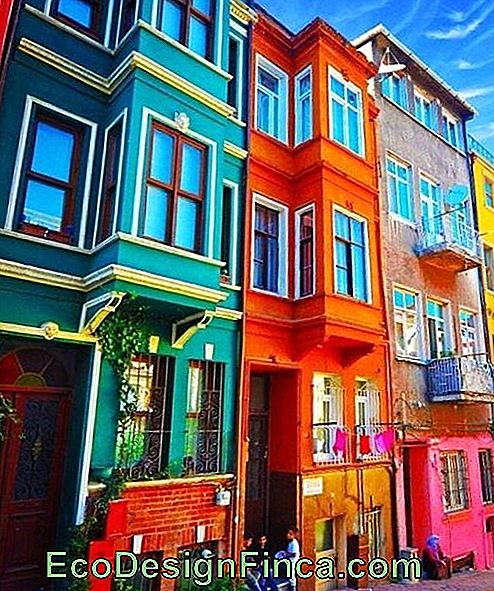 Case Colorate - Le 50 Case Più Belle E Affascinanti Di Tutte! 🏡 Costruzione