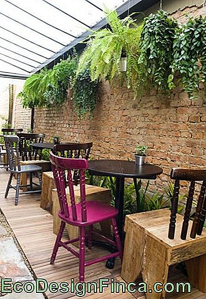 Décor De Cafétéria: Des Idées Novatrices Pour Vous Inspirer! 🏡 Construction