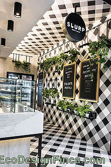 Décor De Cafétéria: Des Idées Novatrices Pour Vous Inspirer! 🏡 Construction
