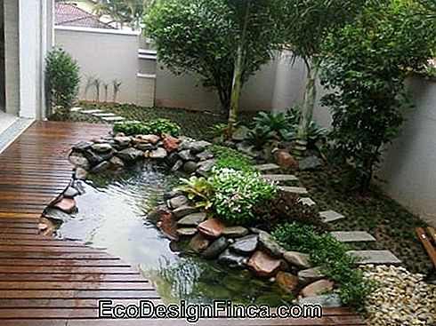 Lago Artificial: 49 Fotos De Proyectos Y Paso A Paso! 🏡 Construcción