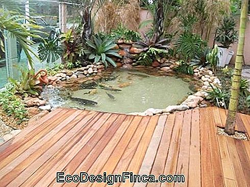 Lago Artificial: 49 Fotos De Proyectos Y Paso A Paso! 🏡 Construcción