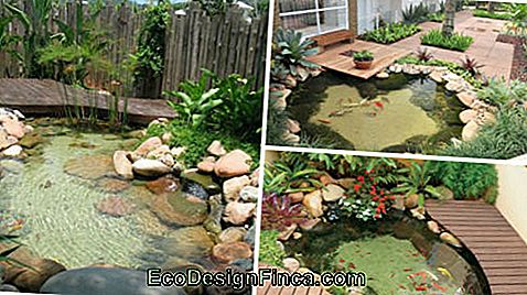 Lago Artificial: 49 Fotos De Proyectos Y Paso A Paso! 🏡 Construcción
