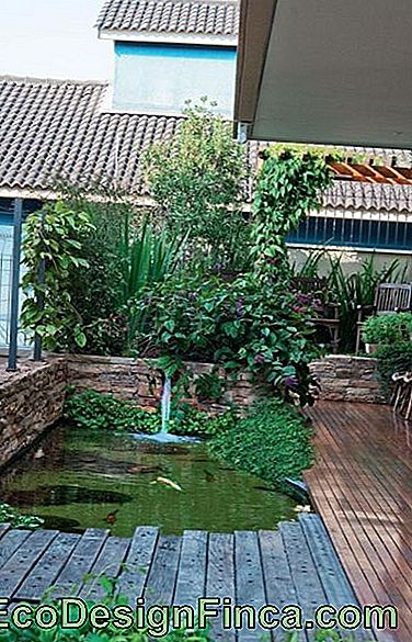 Lago Artificial: 49 Fotos De Proyectos Y Paso A Paso! 🏡 Construcción