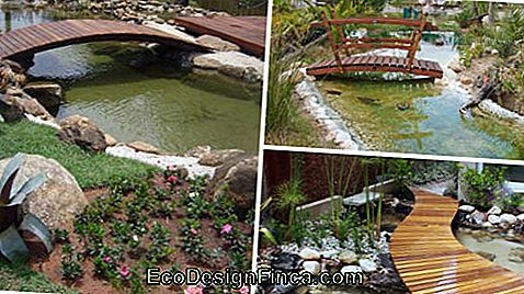Lago Artificial: 49 Fotos De Proyectos Y Paso A Paso! 🏡 Construcción