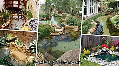 Lago Artificial: 49 Fotos De Proyectos Y Paso A Paso! 🏡 Construcción