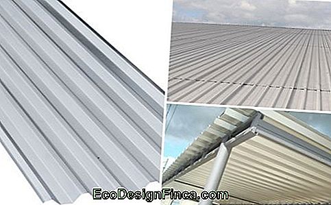Techo De Zinc - Vale La Pena? Ventajas, Desventajas Y Precios! 🏡 ...