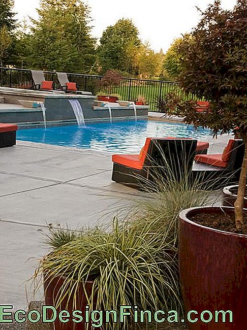 50 Cascades Pour Piscines Avec Des Photos À Inspirer 🏡 Décoration