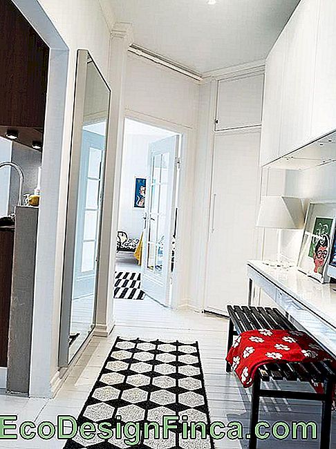 75 Ideas De Corredores Decorados Con Fotos Increíbles 🏡 Decoración