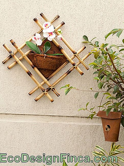 Artesanía De Bambú: 60 Modelos, Fotos Y Paso A Paso Diy 🏡 Decoración