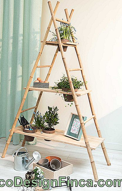 Artesanía De Bambú: 60 Modelos, Fotos Y Paso A Paso Diy 🏡 Decoración