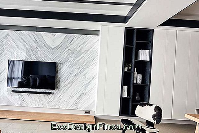 Plaster Lining: Know The Main Types, Advantages And Disadvantages 🏡 ...
