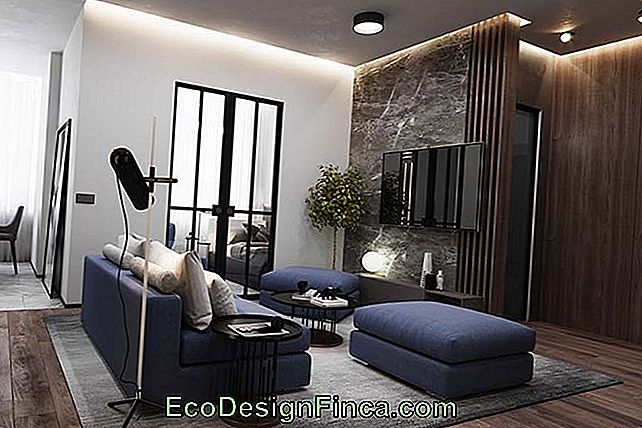 Plaster Lining: Know The Main Types, Advantages And Disadvantages 🏡 ...