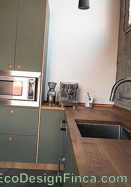 Verde Musgo: Significado Y Cómo Combinar El Color En La Decoración 🏡 ...