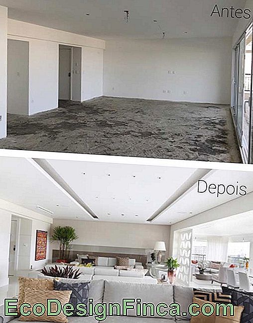 Techo De Yeso: Guía Completa Para Conocer Tipos Y Aplicaciones 🏡 Decoración