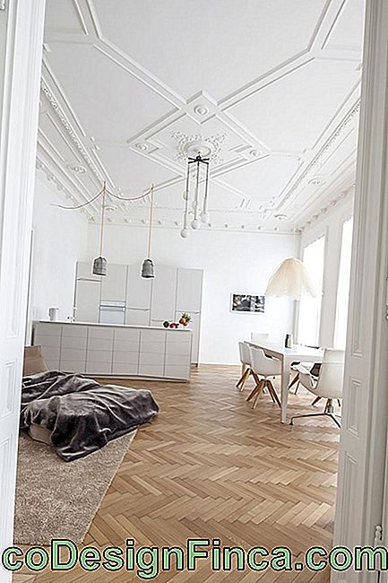 Techo De Yeso: Guía Completa Para Conocer Tipos Y Aplicaciones 🏡 Decoración
