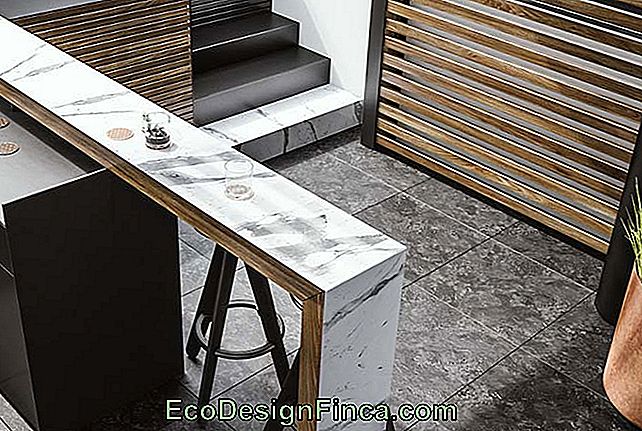 Types De Marbre: Caractéristiques Principales, Prix Et Photos 🏡 Décoration