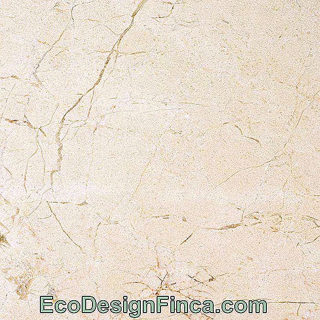 Types De Marbre: Caractéristiques Principales, Prix Et Photos 🏡 Décoration
