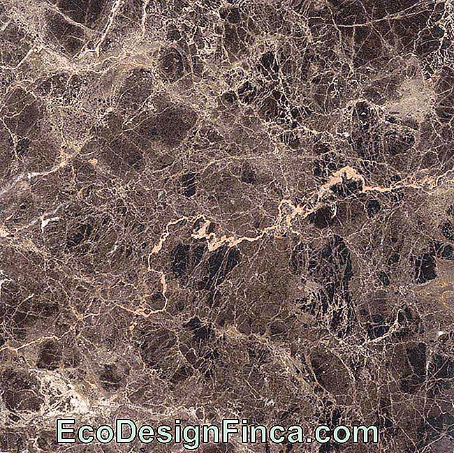 Types De Marbre: Caractéristiques Principales, Prix Et Photos 🏡 Décoration