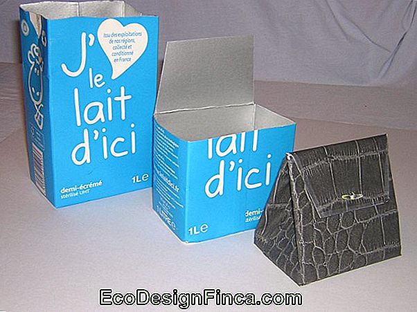 Carton À Lait: 45 Idées Et Inspirations! 🏡 Construction