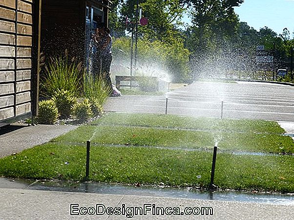 Systèmes D'Irrigation Pour Jardin Et Jardin 🏡 Jardinage